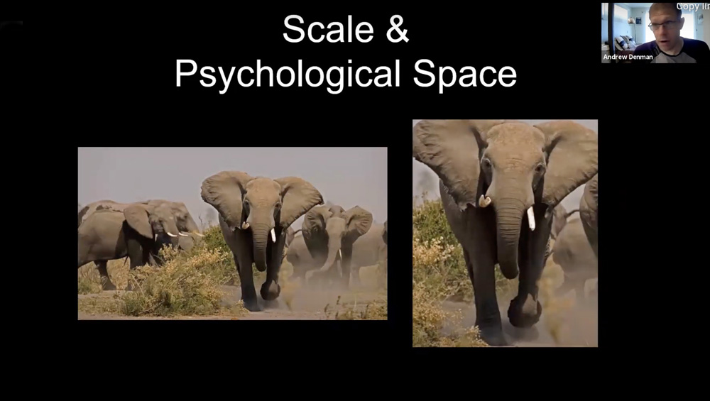 Andrew Denman - Susan K Black Foundation